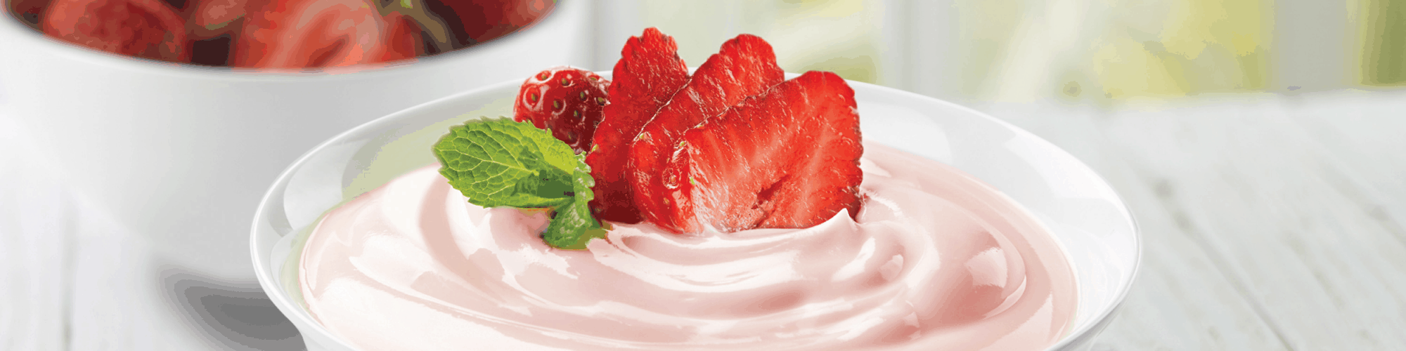 Yaourt.fr | Préparez votre propre yaourt